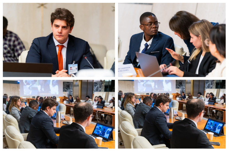 FAO UN Model Programme - Rome