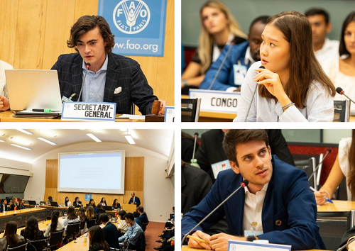 FAO UN Model Programme - Rome